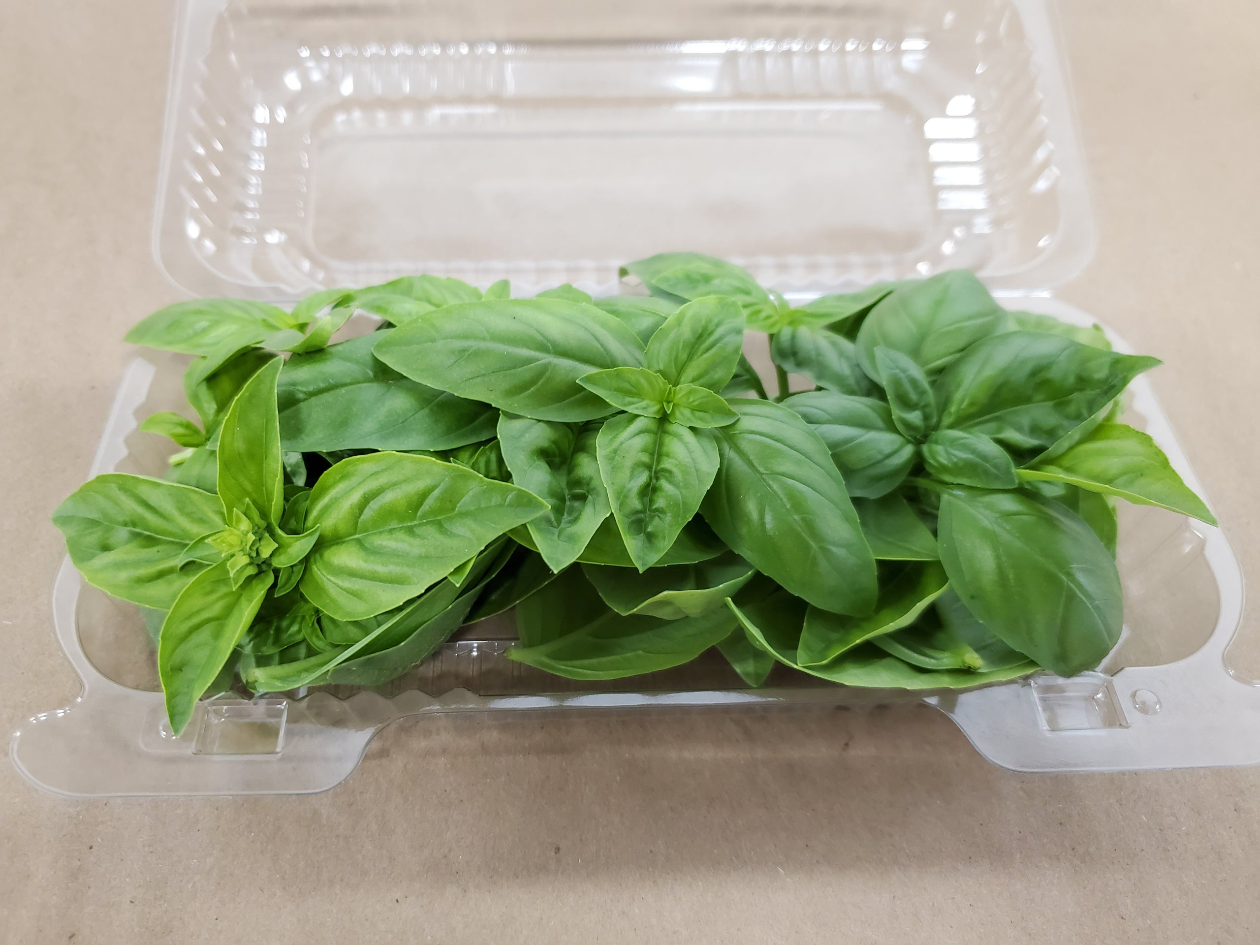Basil | Gib's Farm LLC